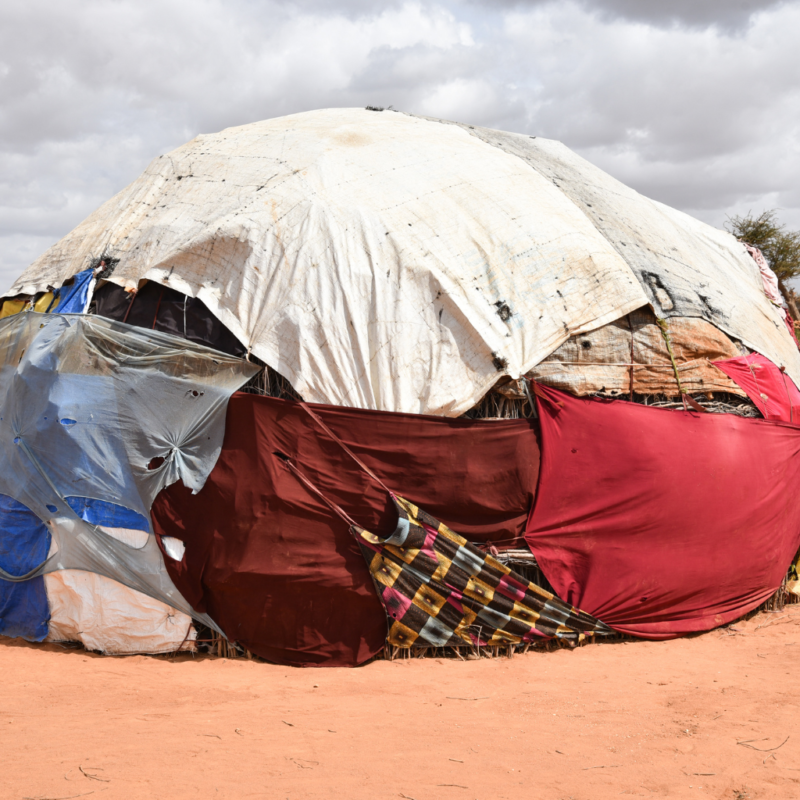 Kenya: Record admissions at MSF hospital in Dagahaley, Dadaab, as ...